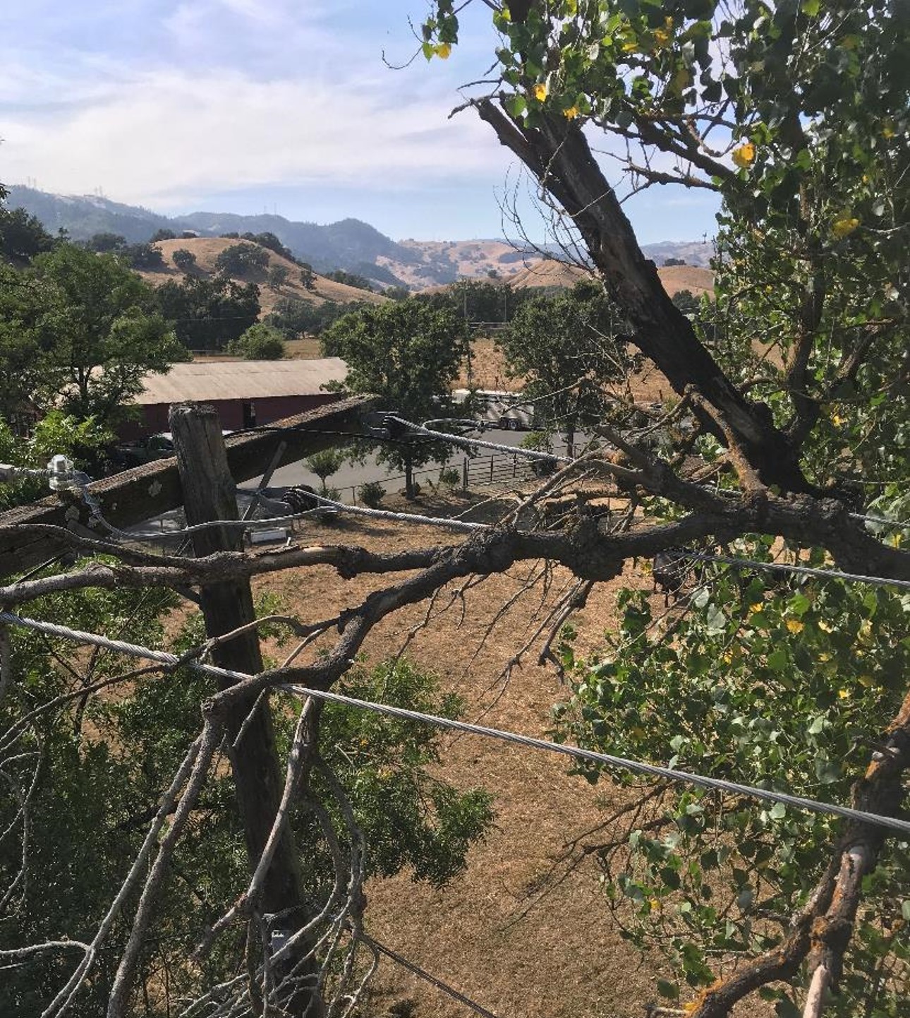 Vegetation Contact - IND Technology