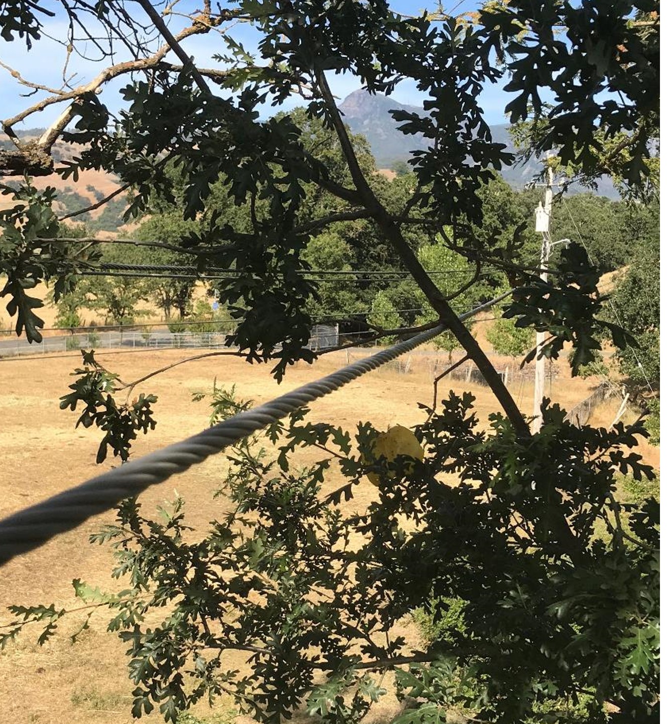 Vegetation Contact - IND Technology