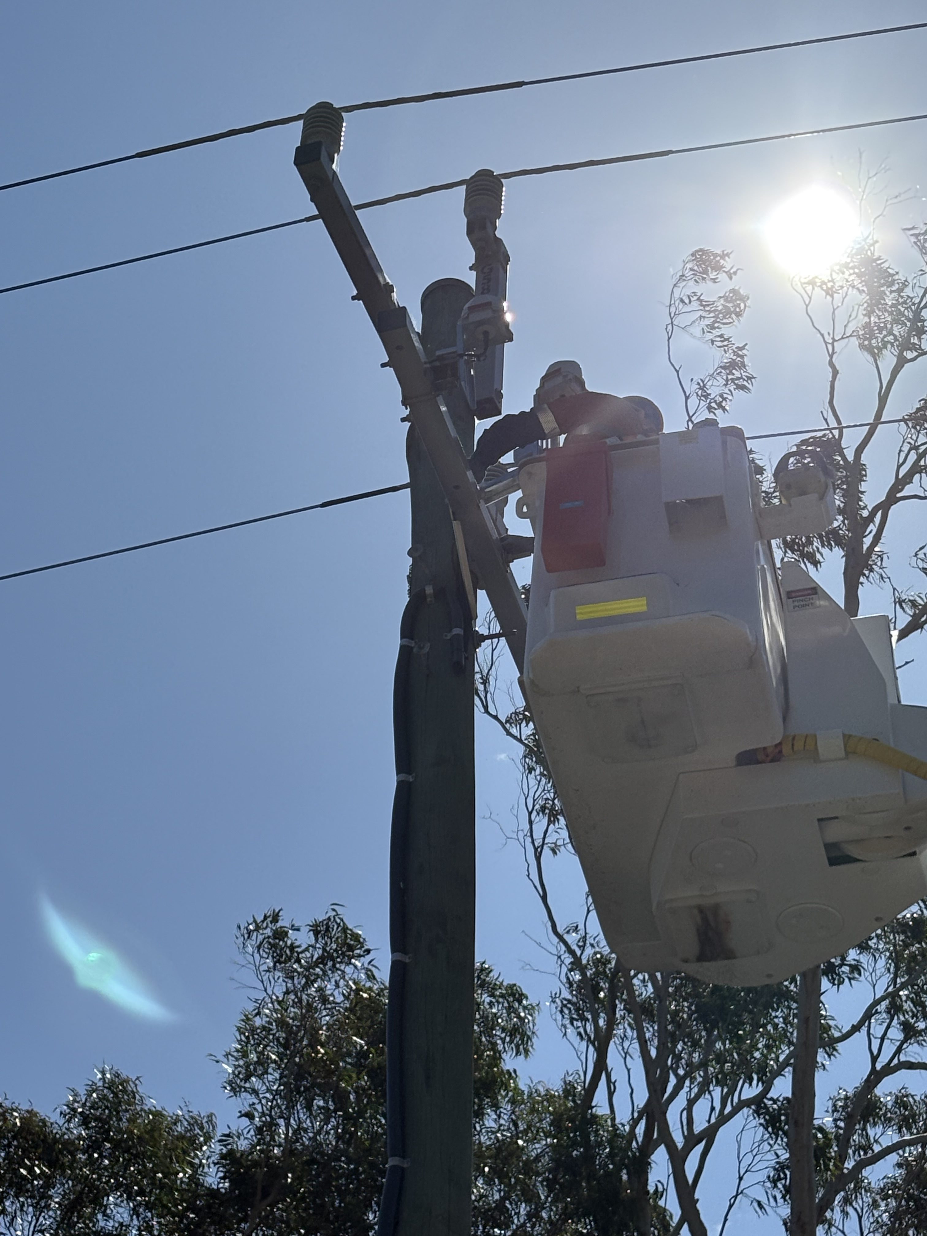 Tree Fall - IND Technology