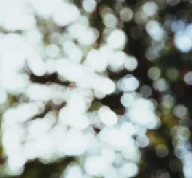 PGE talks about using the EFD™ system in wildfire mitigation - IND ...